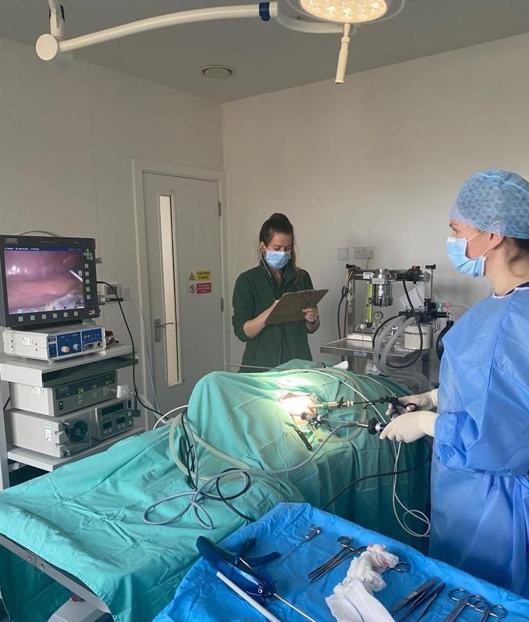 Endoscopy and Laparoscopy referrals in Tring